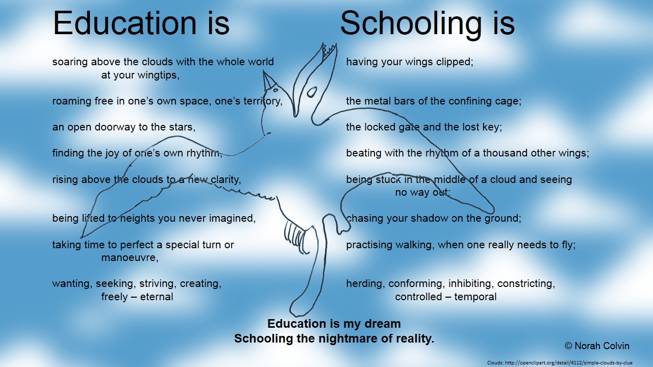 School Vs Education - What's the Difference? - EducationBoxInfo